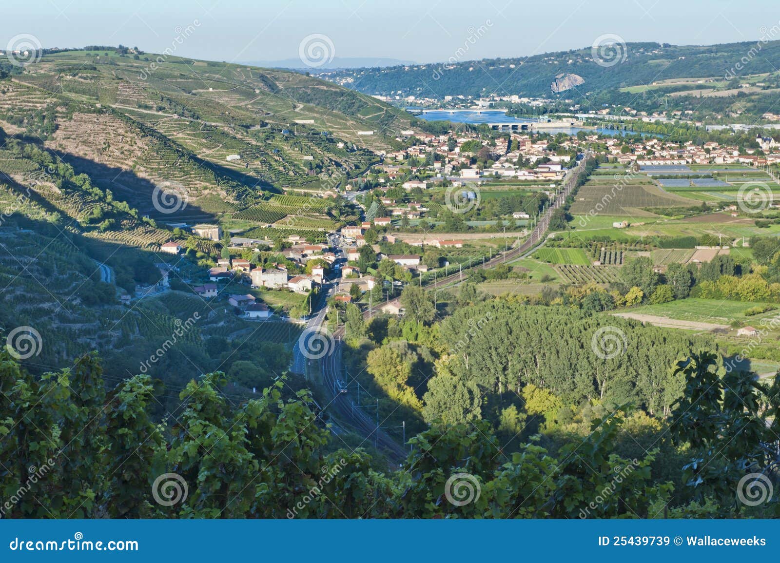 Rhone River Valley Near Vienne Stock Image - Image of ampuis, harvest ...