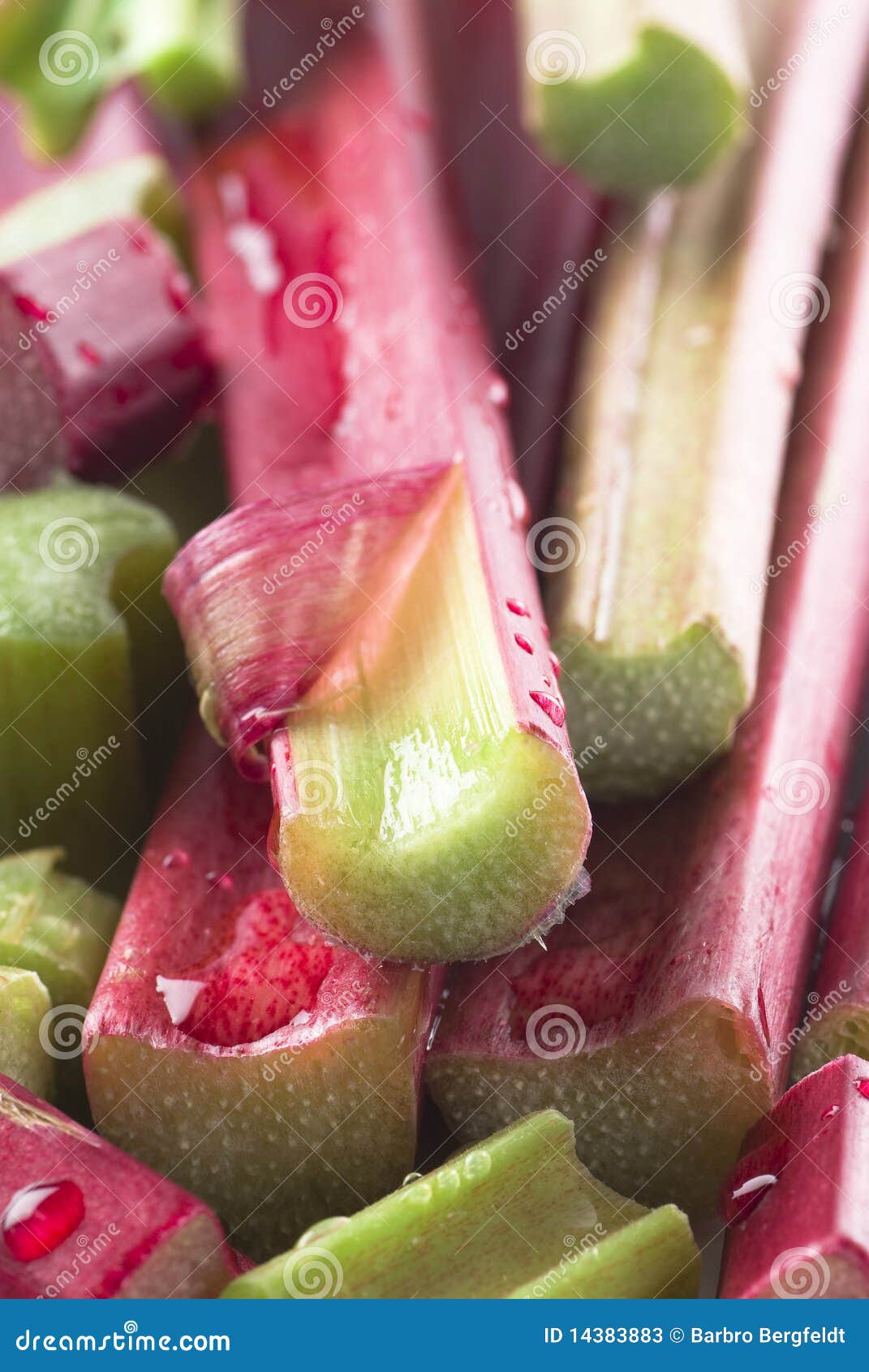 Rhubarb stock image. Image of food, close, fruit, ingredient - 14383883