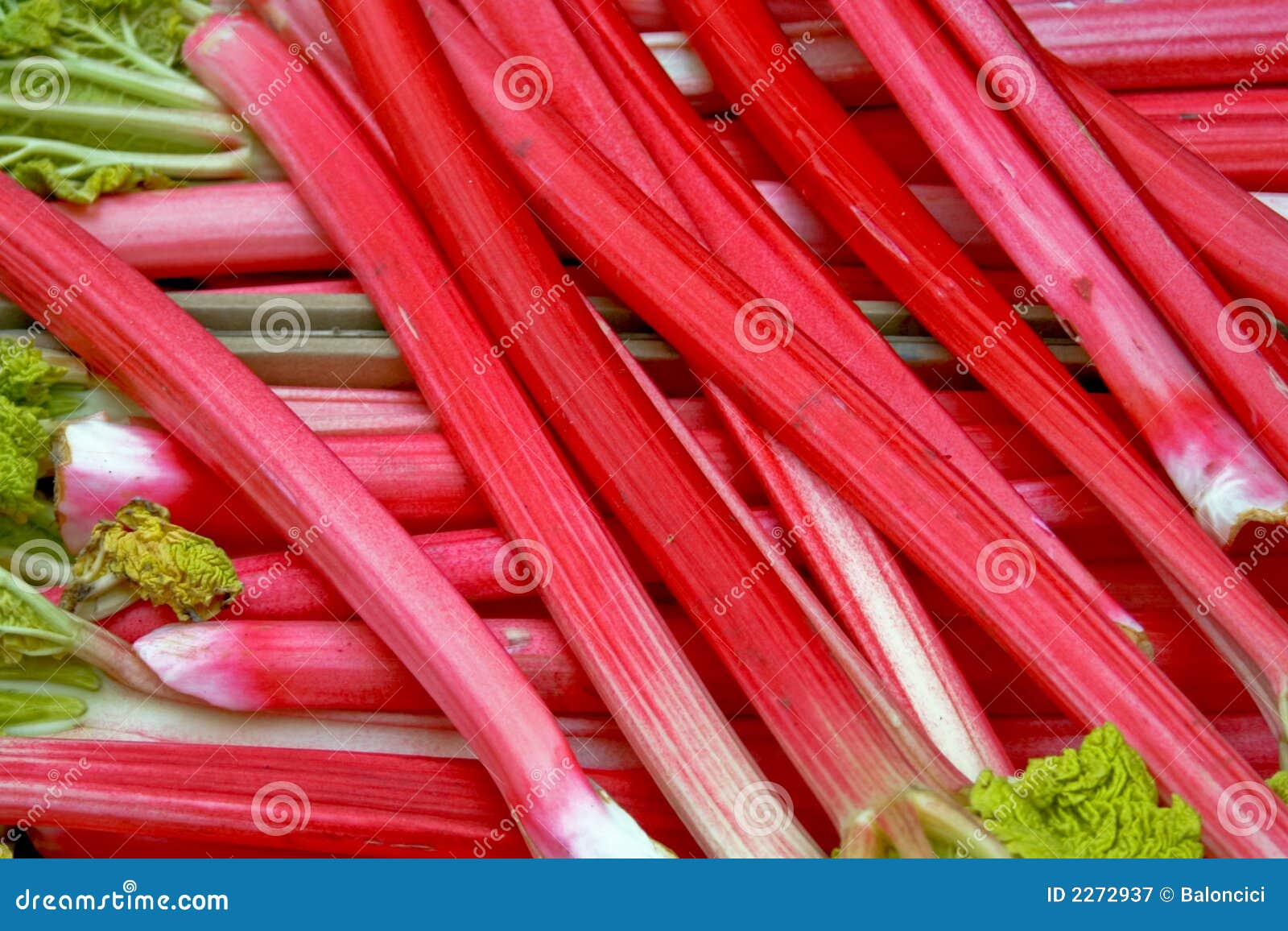 Rhubarb stock image. Image of leaves, marrow, balm, color - 2272937