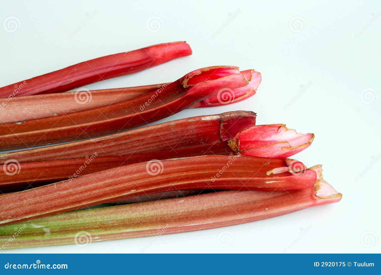 Rhubarb stock image. Image of color, shiny, organic, nature - 2920175