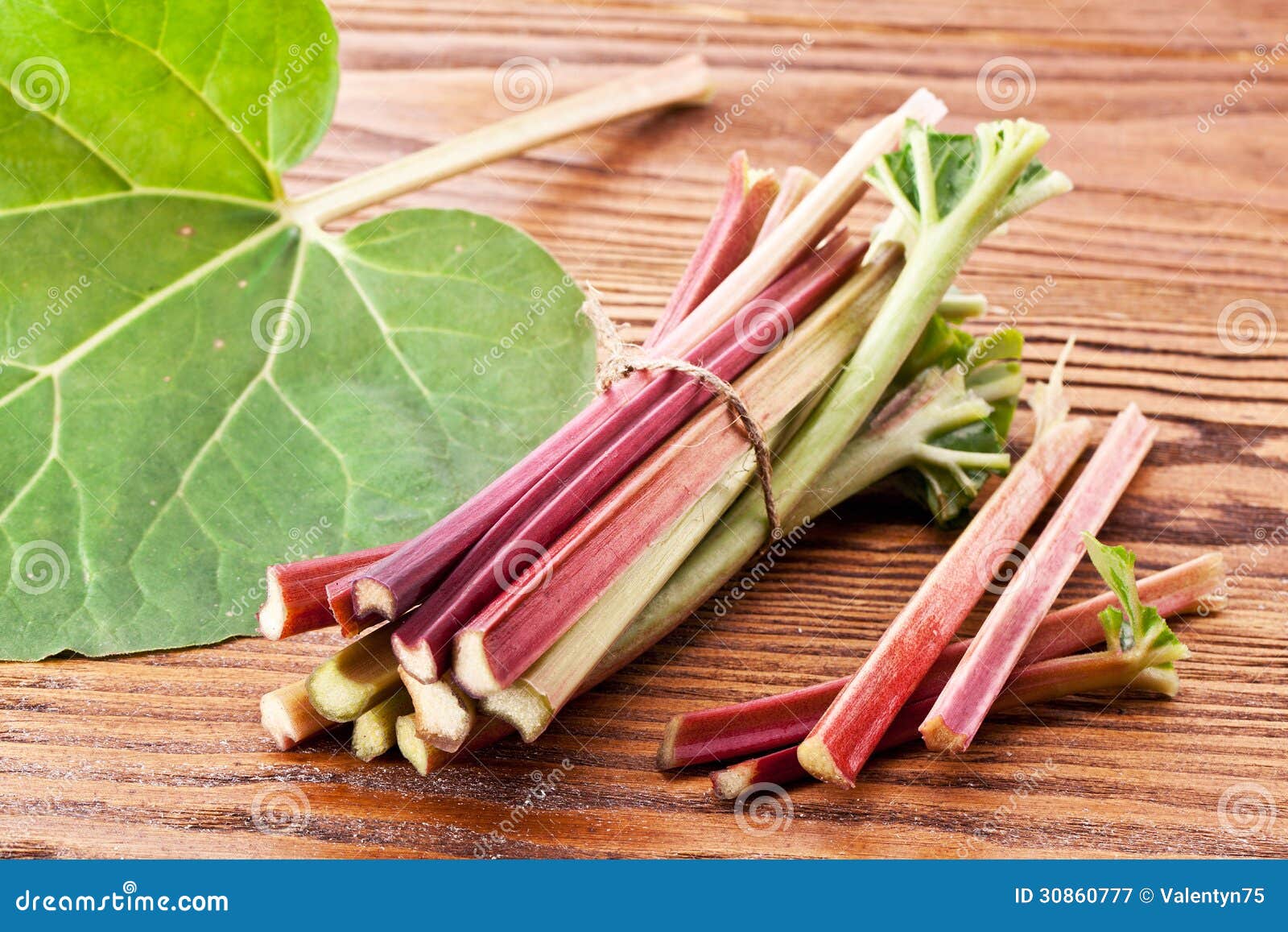 Rhubarb stalks. stock image. Image of picked, spice, food - 30860777
