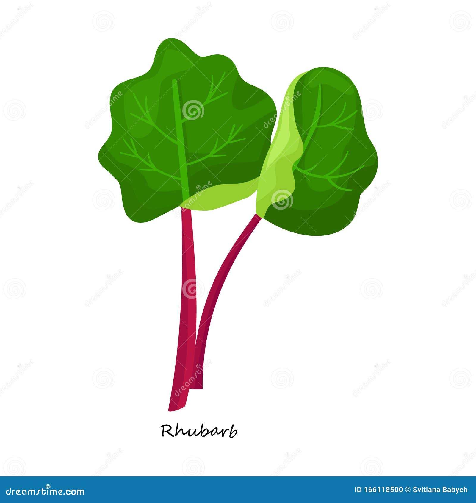 Rhubarb Logo Stock Illustrations – 65 Rhubarb Logo Stock Illustrations ...