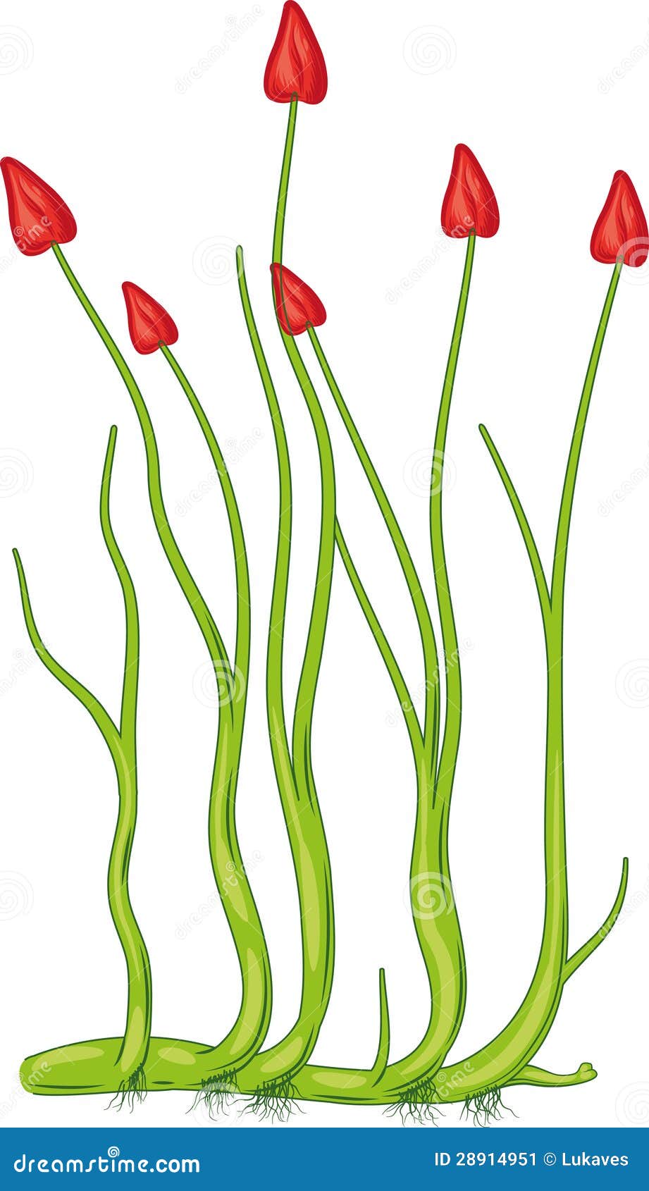 Ramblers Cartoons, Illustrations & Vector Stock Images - 28 Pictures to ...