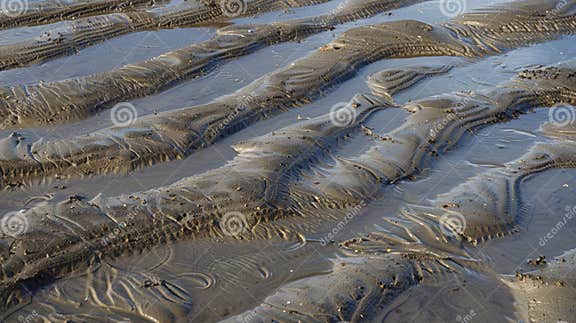 The Rhythmic Ebb and Flow of the Tides Leave Behind Intricate Patterns ...