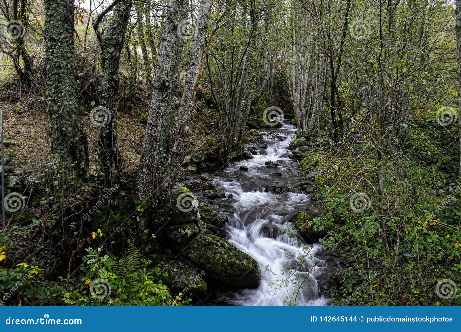 Riachuelo Picture. Image: 142645144