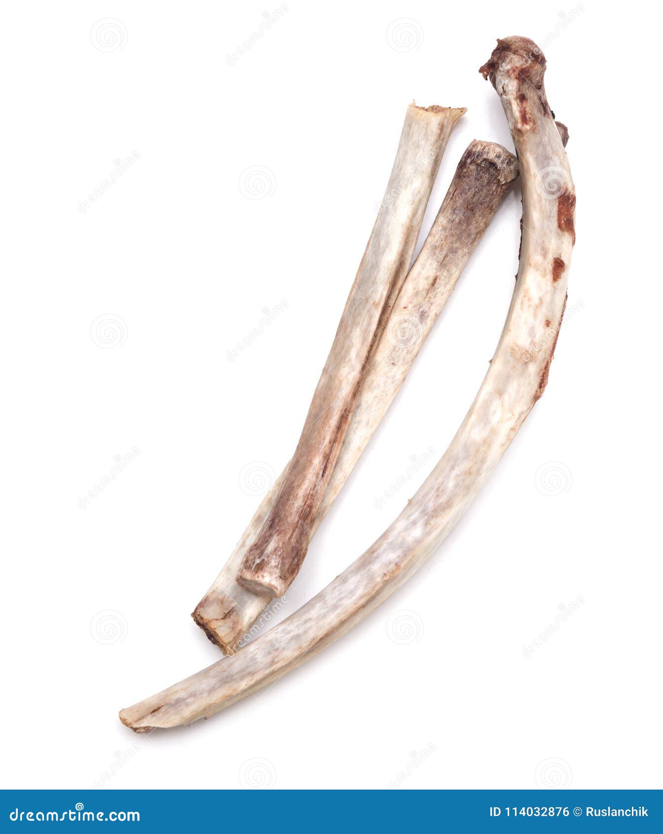 Rib bones stock photo. Image of pile, hard, fast, meat - 114032876