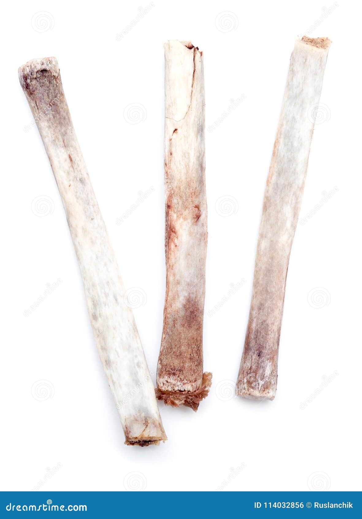Rib bones stock photo. Image of pile, bone, calcium - 114032856