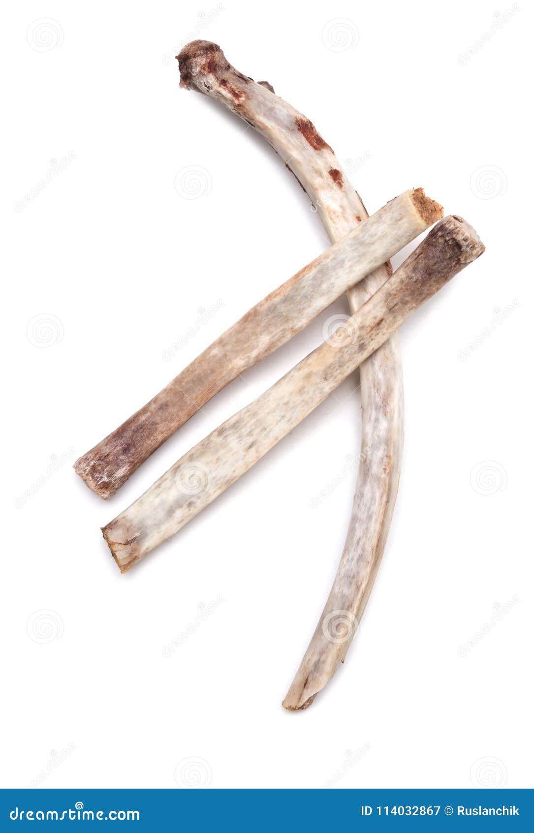 Rib bones stock image. Image of cuisine, calcium, roast - 114032867