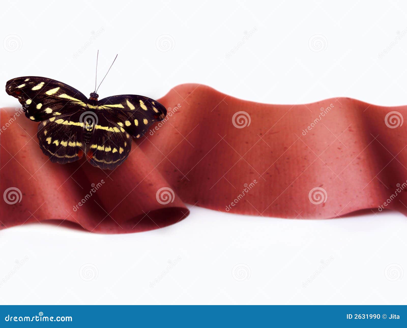 Ribbon and butterfly stock illustration. Illustration of gift - 2631990