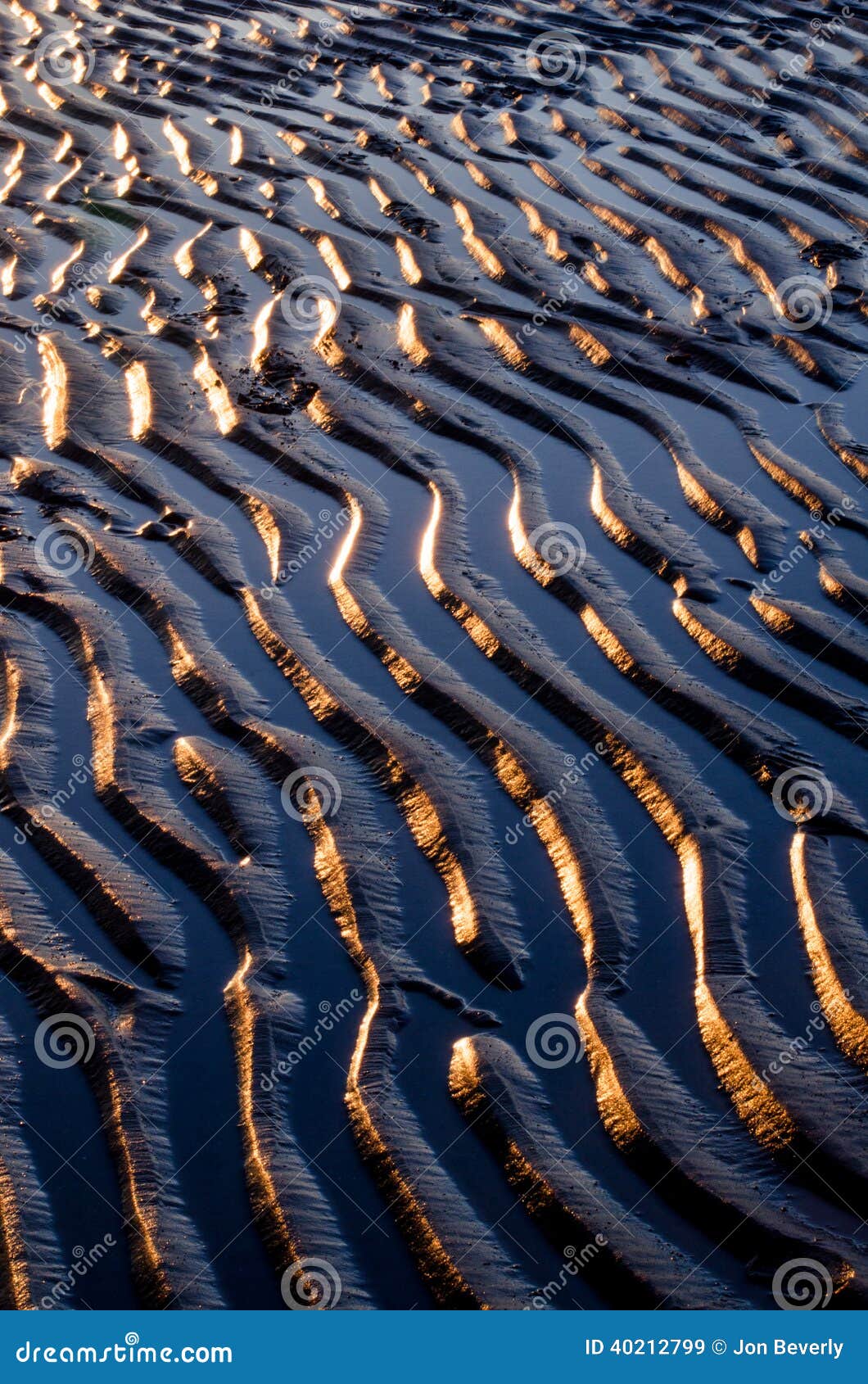 Ribbons of Light stock image. Image of light, coast, color - 40212799