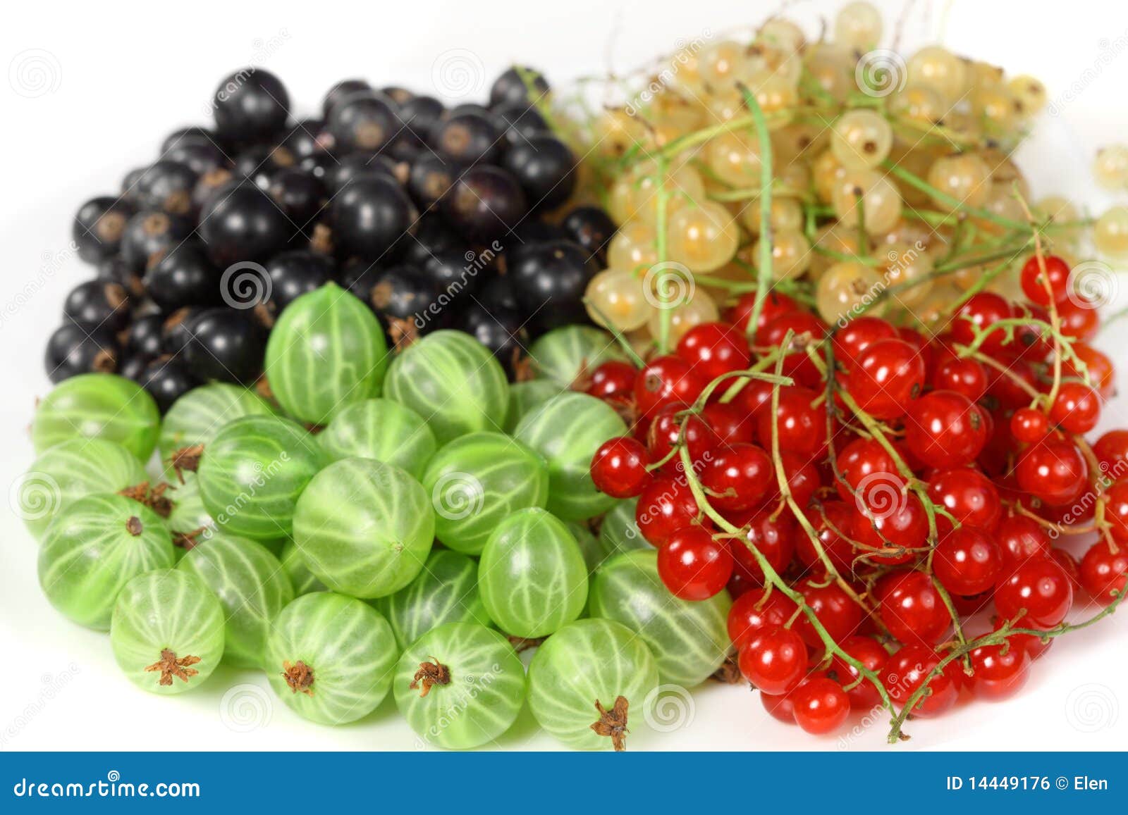 Ribes, Ribes Nero Ed Uva Spina Fotografia Stock - Immagine di alimento ...