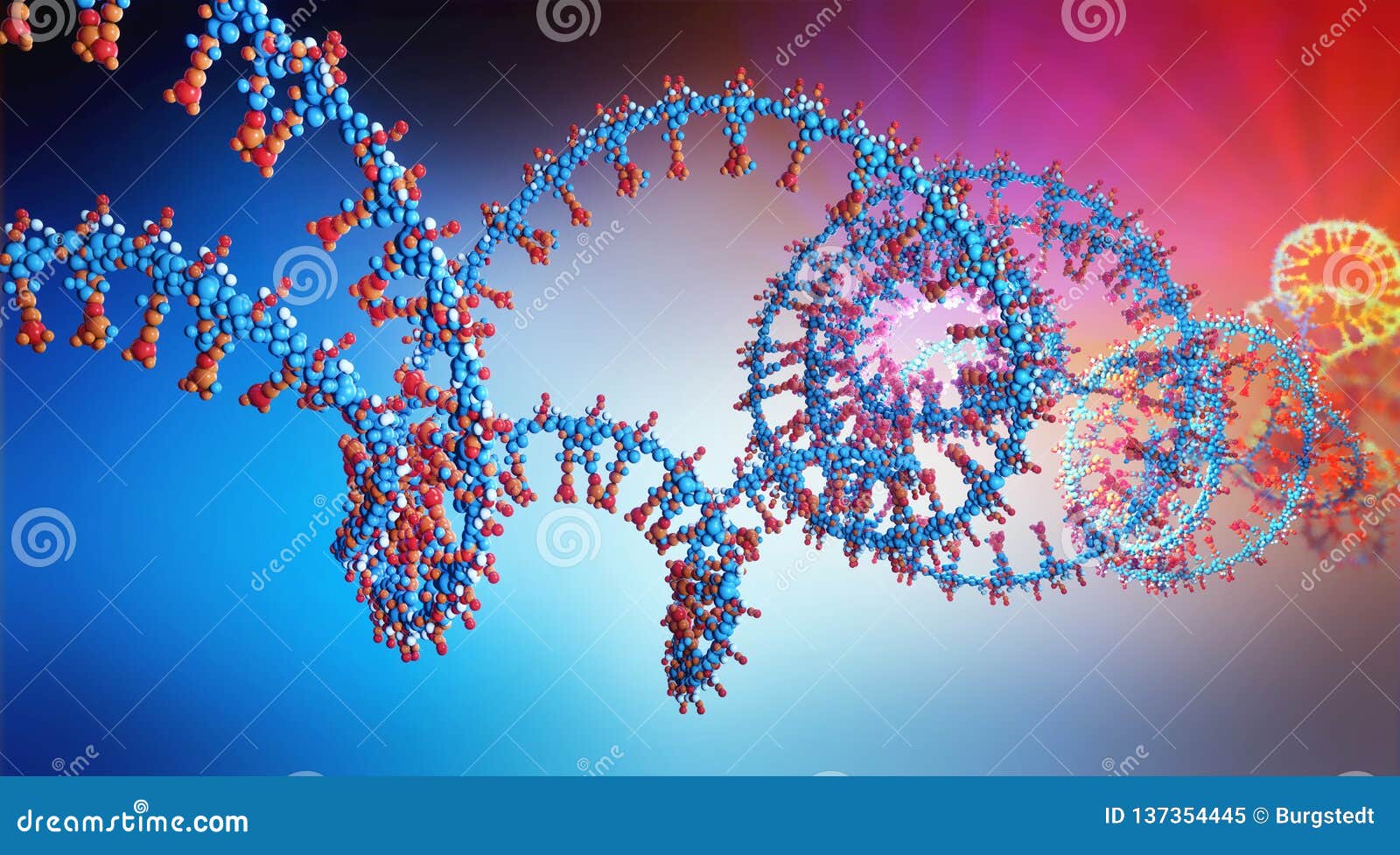 Function Of Ribosomes Cartoon Vector | CartoonDealer.com #138432885