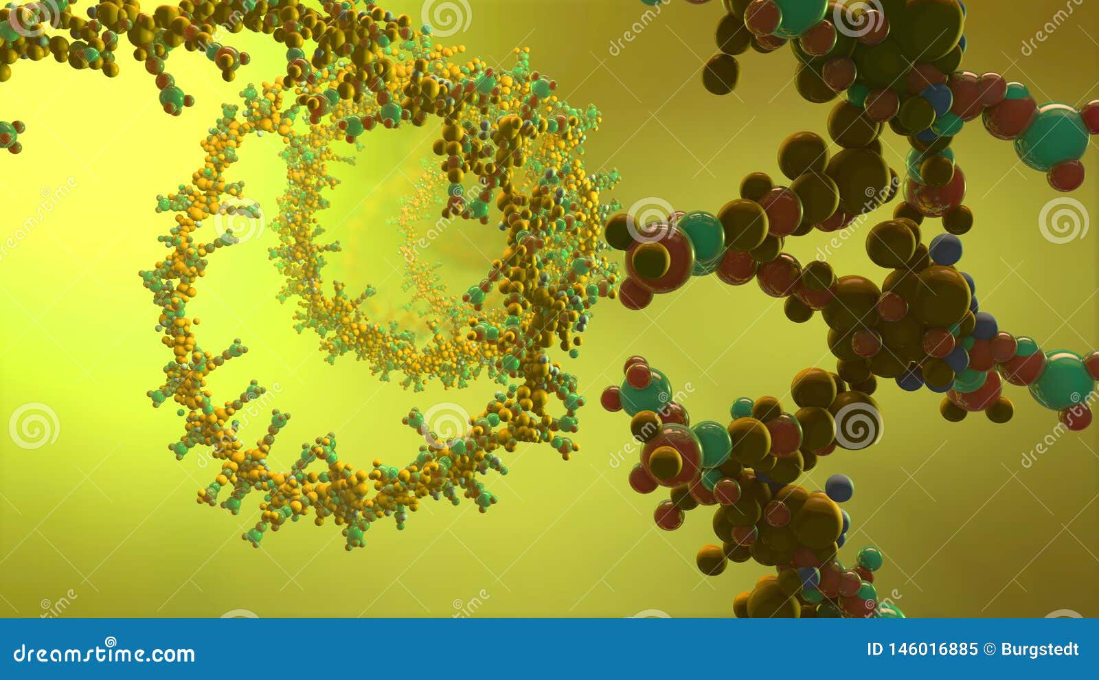 Function Of Ribosomes Cartoon Vector | CartoonDealer.com #138432885