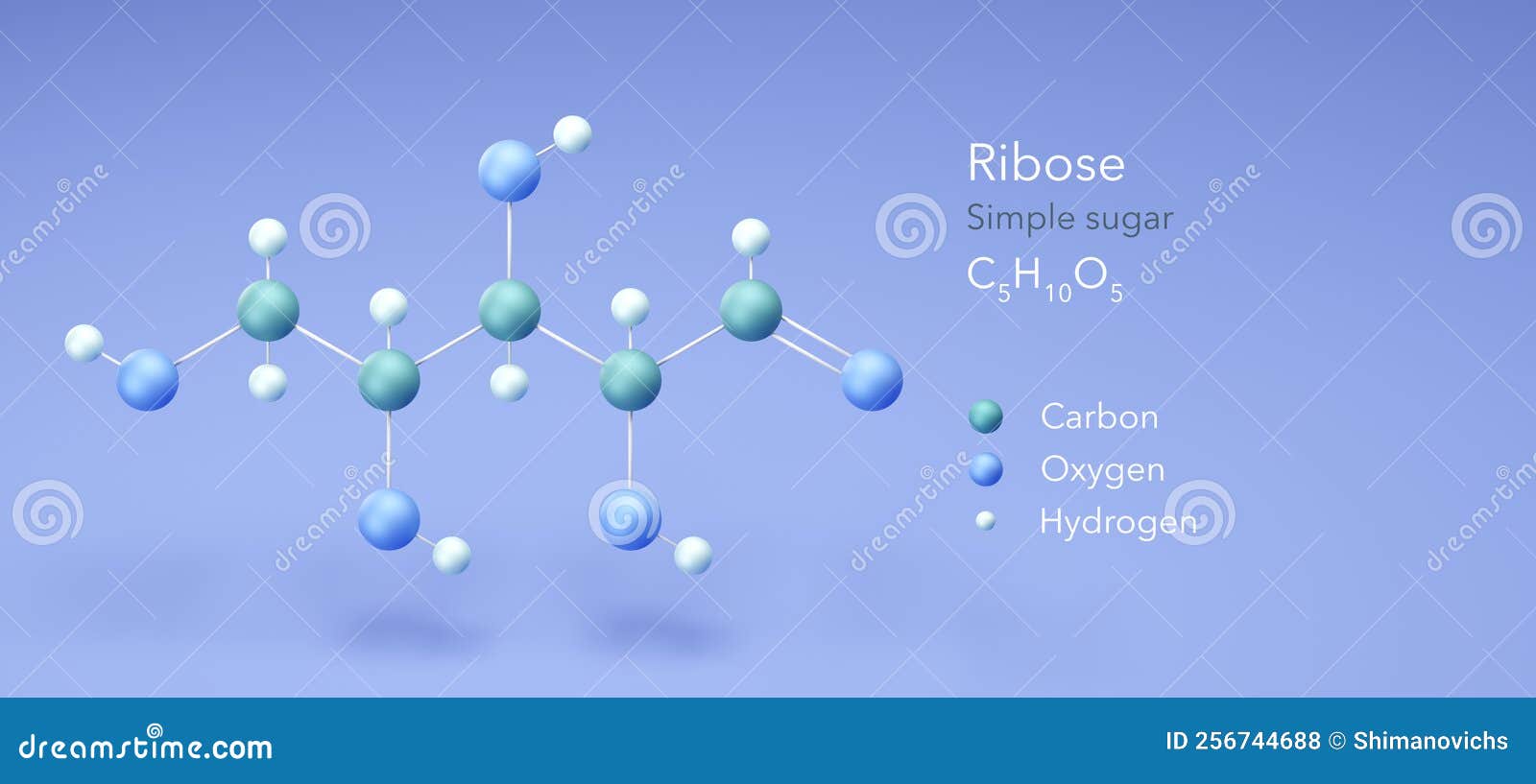 Ribose Moleculaire Structuren Simpele Suiker 3d Model Structurele ...