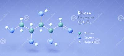 Ribose, Molecular Structures, Simple Sugar, 3d Model, Structural ...