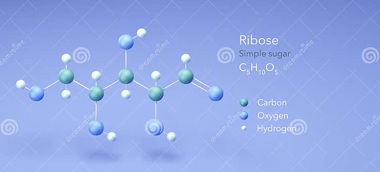 Ribose, Molecular Structures, Simple Sugar, 3d Model, Structural ...