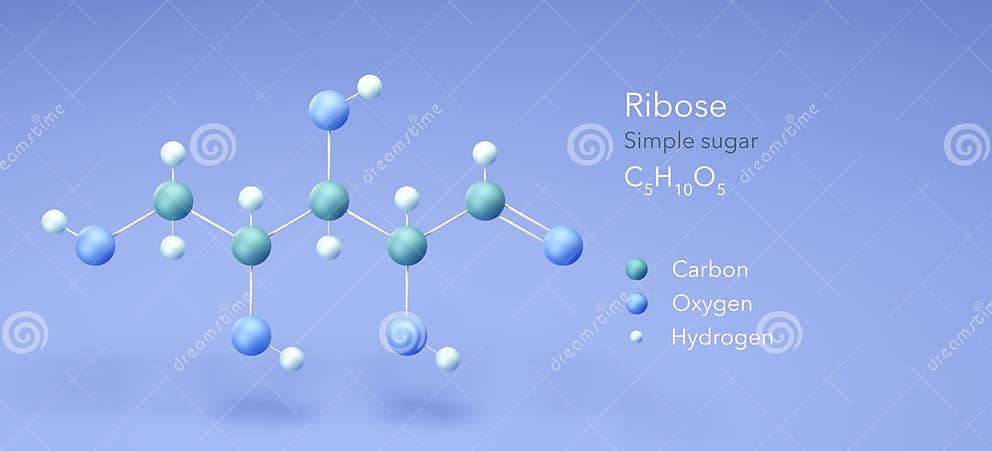Ribose, Molecular Structures, Simple Sugar, 3d Model, Structural ...