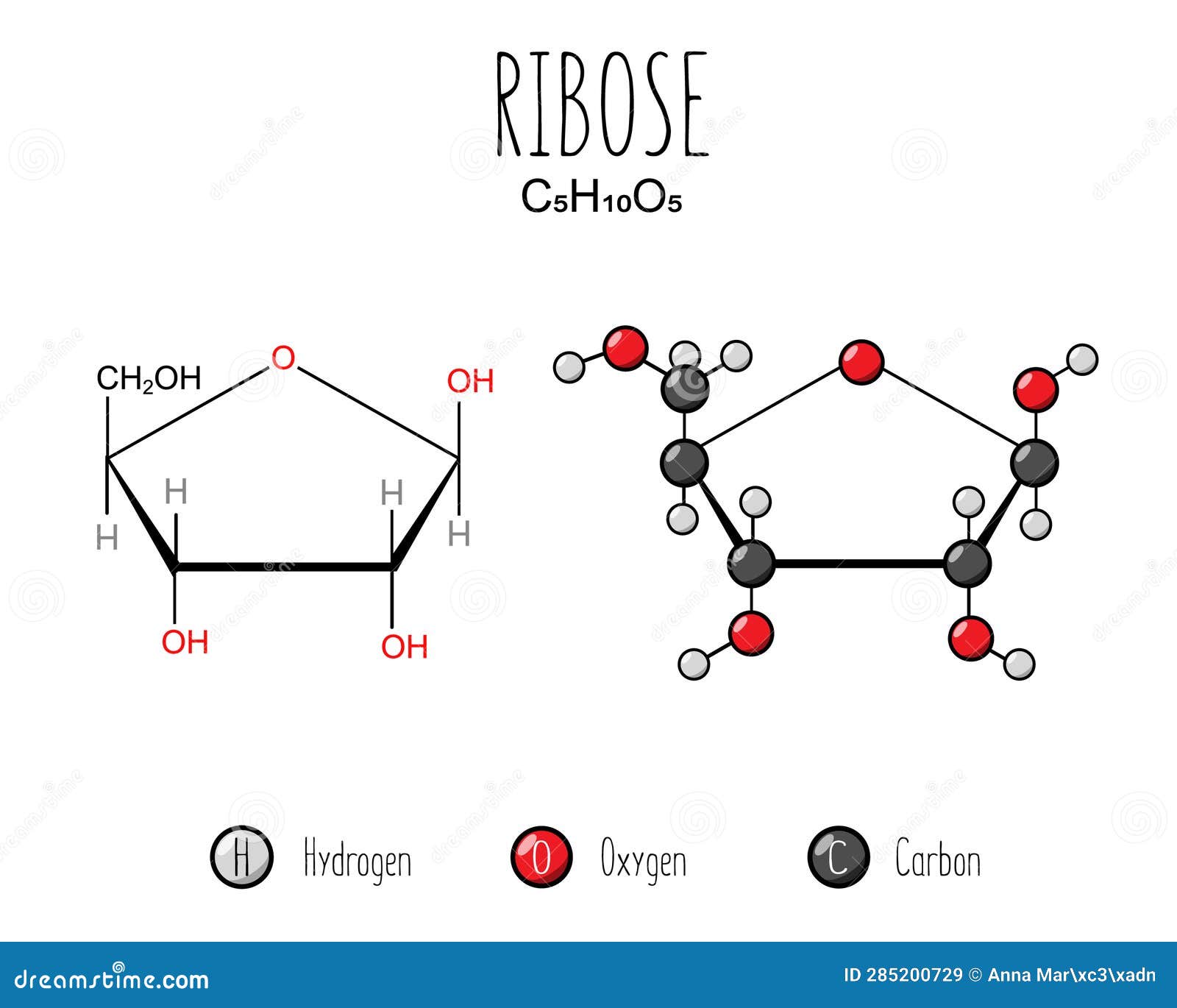Ribose Skeletal and Flat Representation. Stock Vector - Illustration of ...