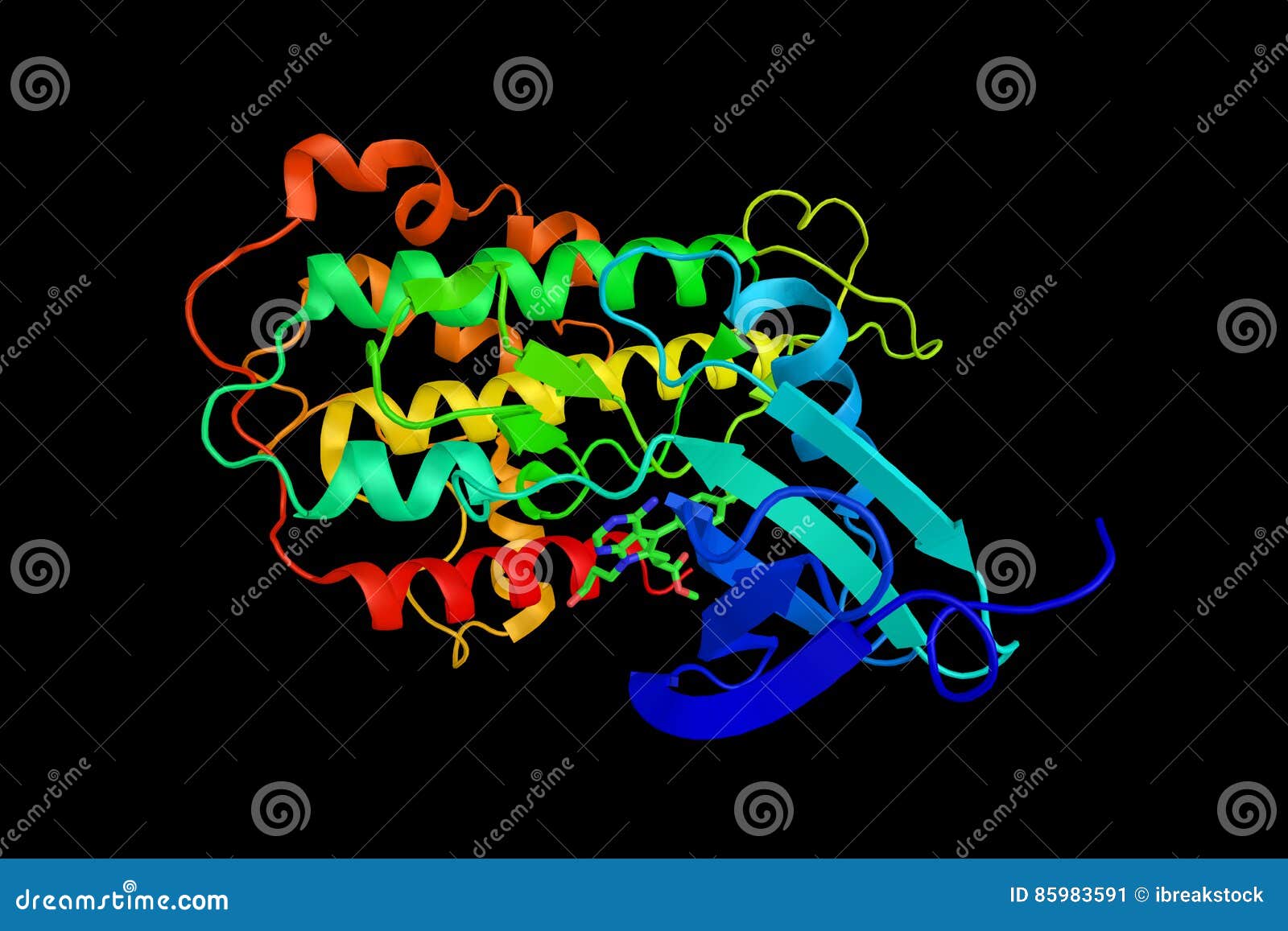 Ribosomal Protein S6 Kinase, 90kDa, Polypeptide 3, an Enzyme Im Stock ...