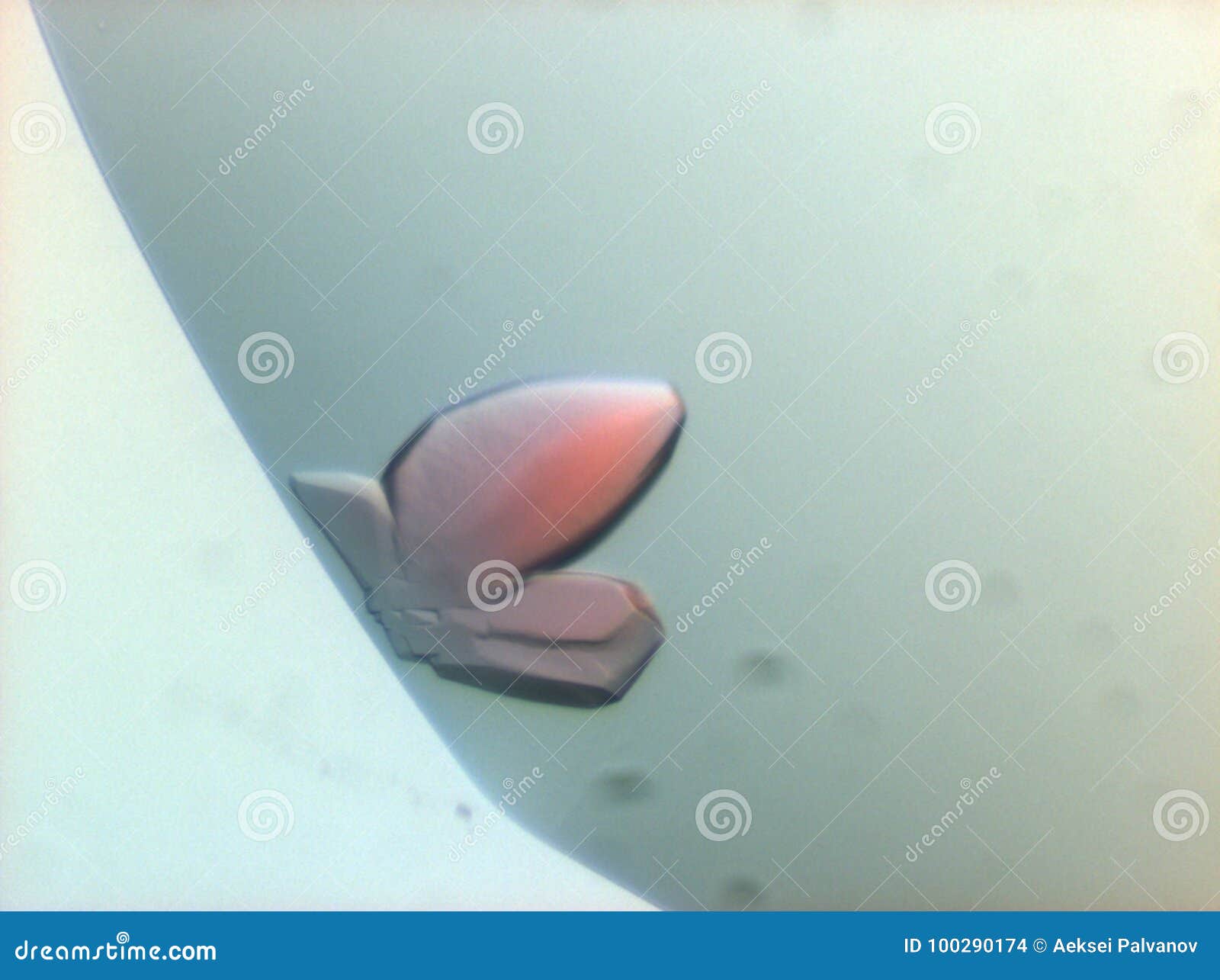 Protein Synthesis Translation Stock Photos - Free & Royalty-Free Stock ...