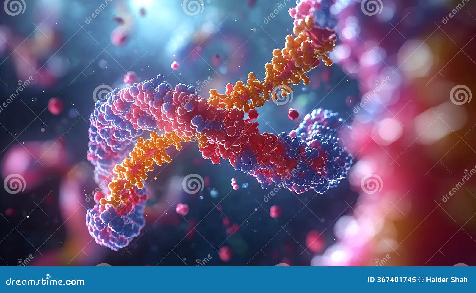 Ribosome Decoding Mrna With Codon-anticodon Interactions Forming A ...
