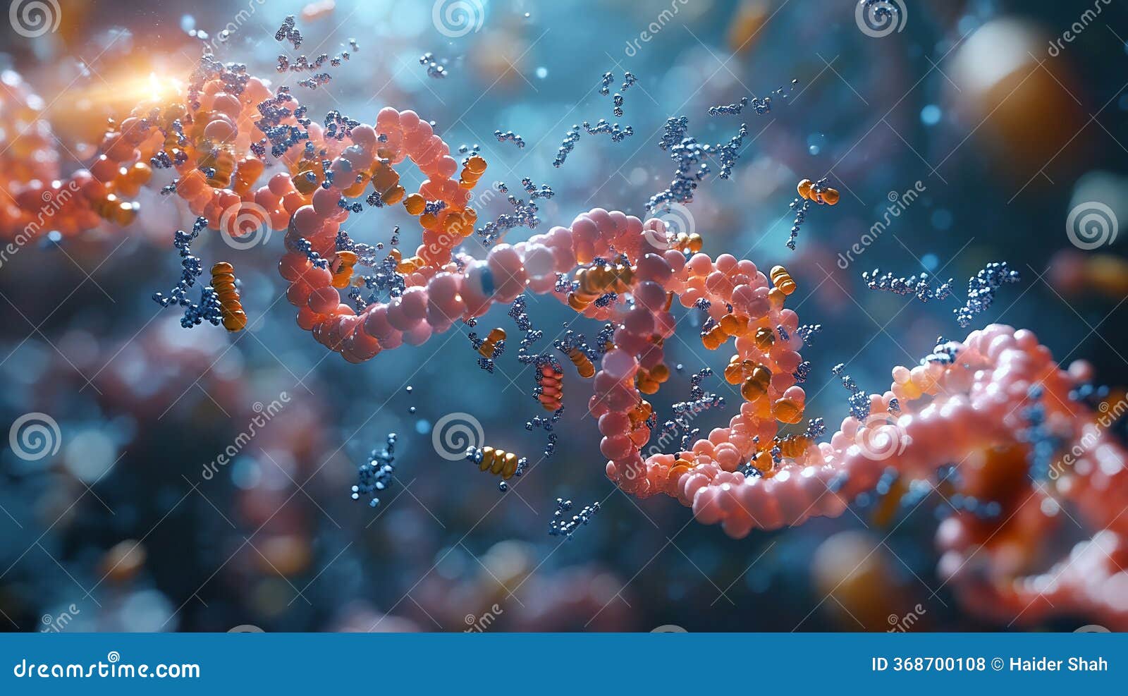 Ribosomes Translating Mrna Into A Polypeptide Chain With Trna And Amino ...