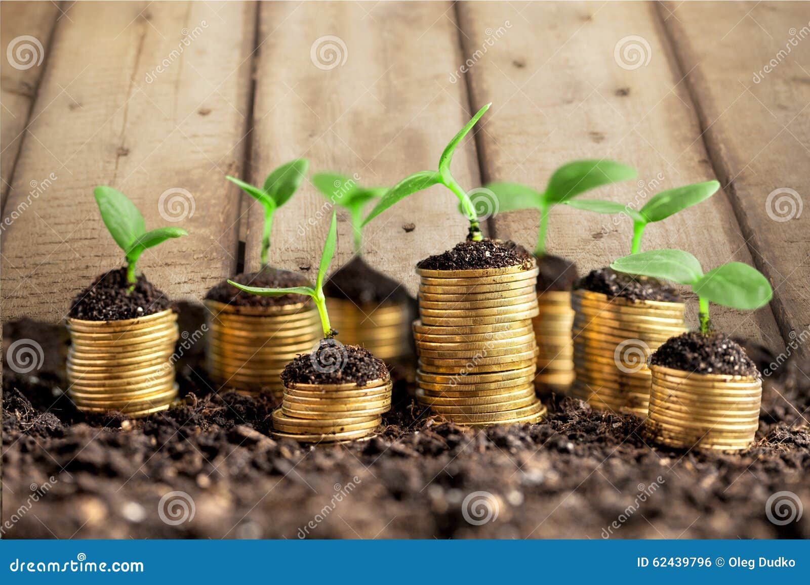 Ricchezza fotografia stock. Immagine di capitale, tesoro - 62439796