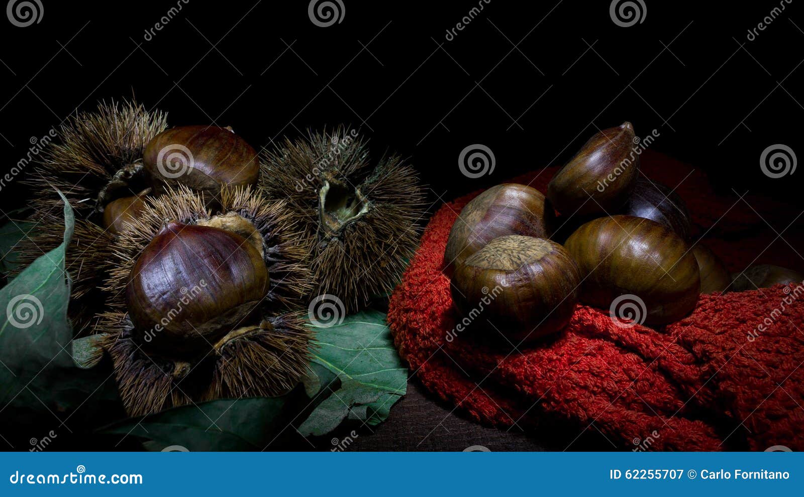 Ricci and chestnuts stock image. Image of forest, prickly - 62255707