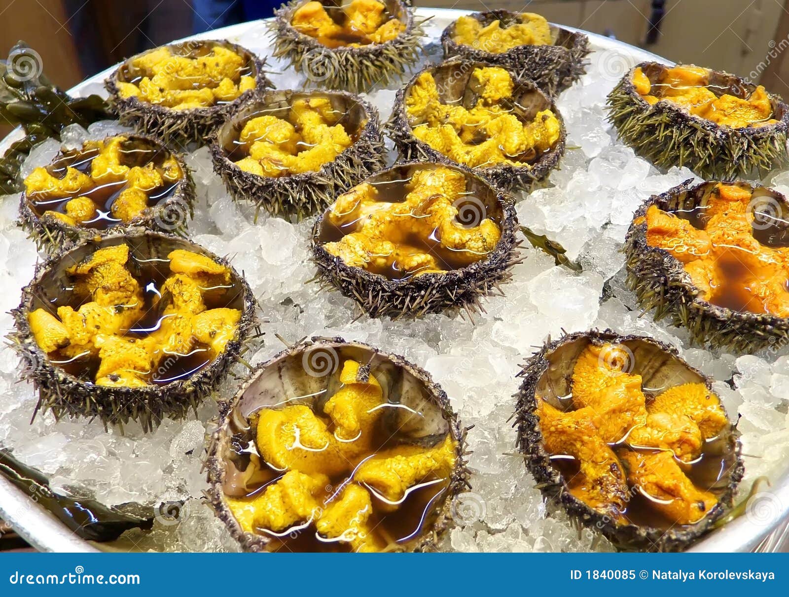 Ricci di mare immagine stock. Immagine di alimento, calorie - 1840085