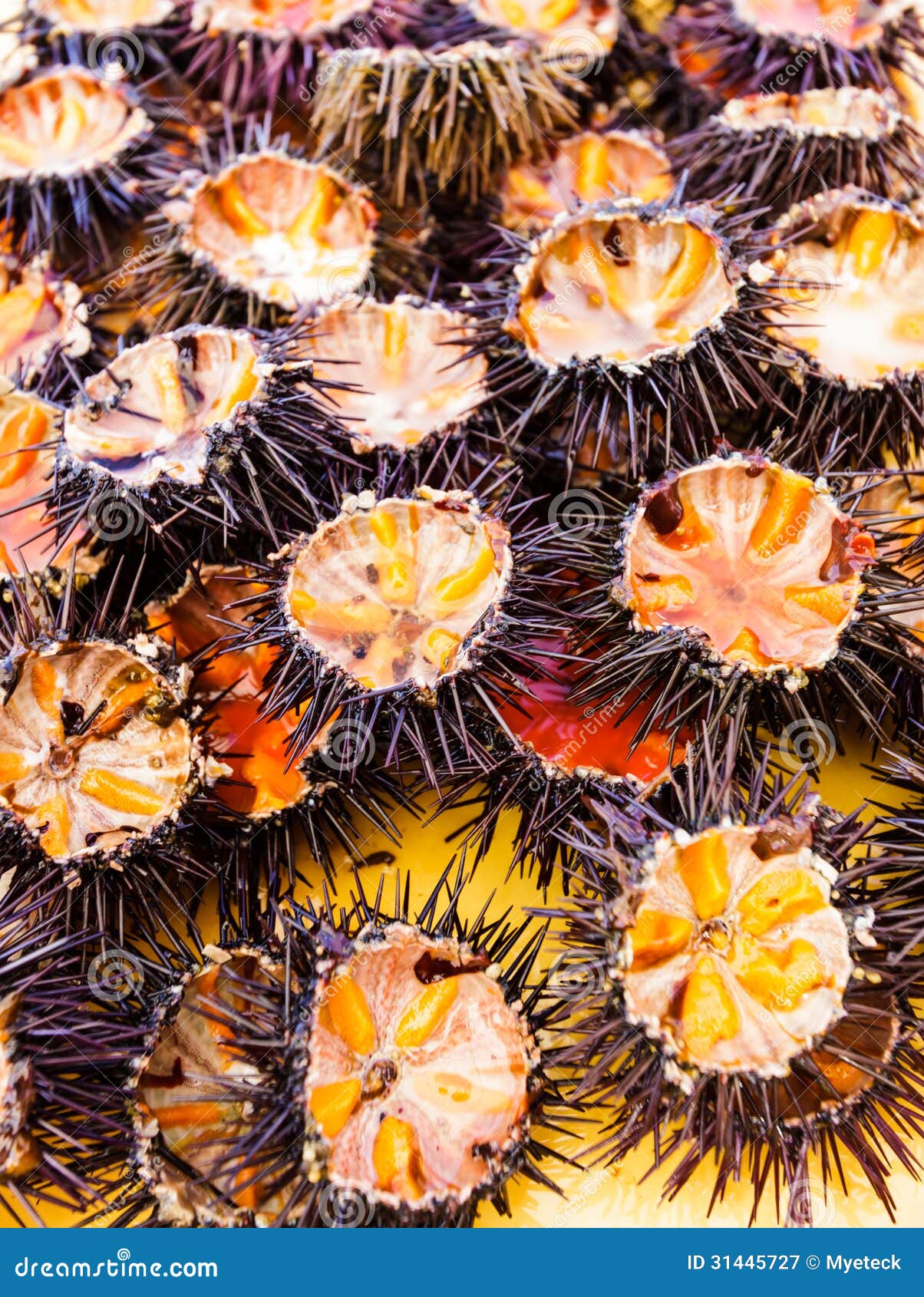 Ricci Di Mare (erizos De Mar) Imagen de archivo - Imagen de cubo, yegua ...