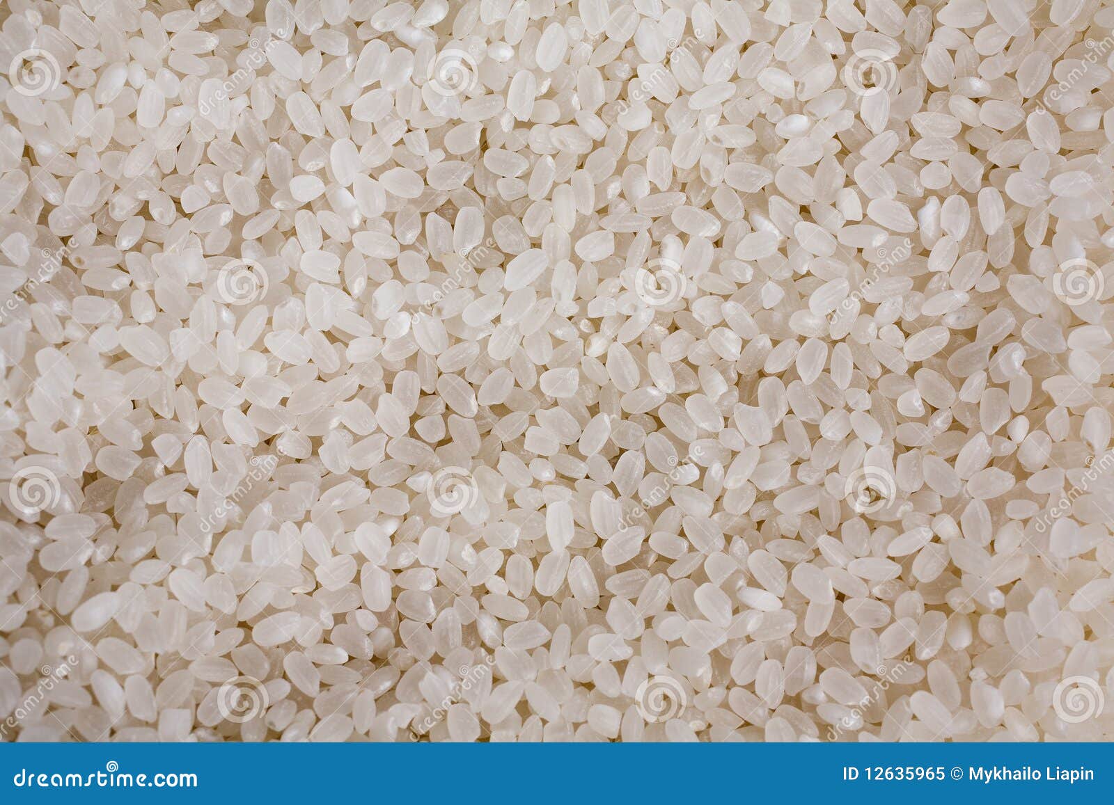 Rice stock image. Image of ingredient, rice, isolated - 12635965