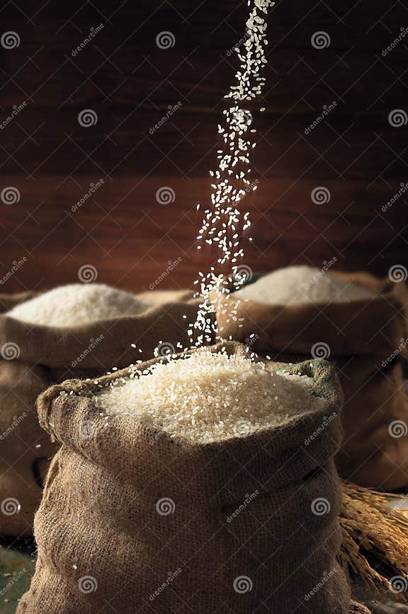 Rice stock photo. Image of detail, nutrition, agriculture - 14378460