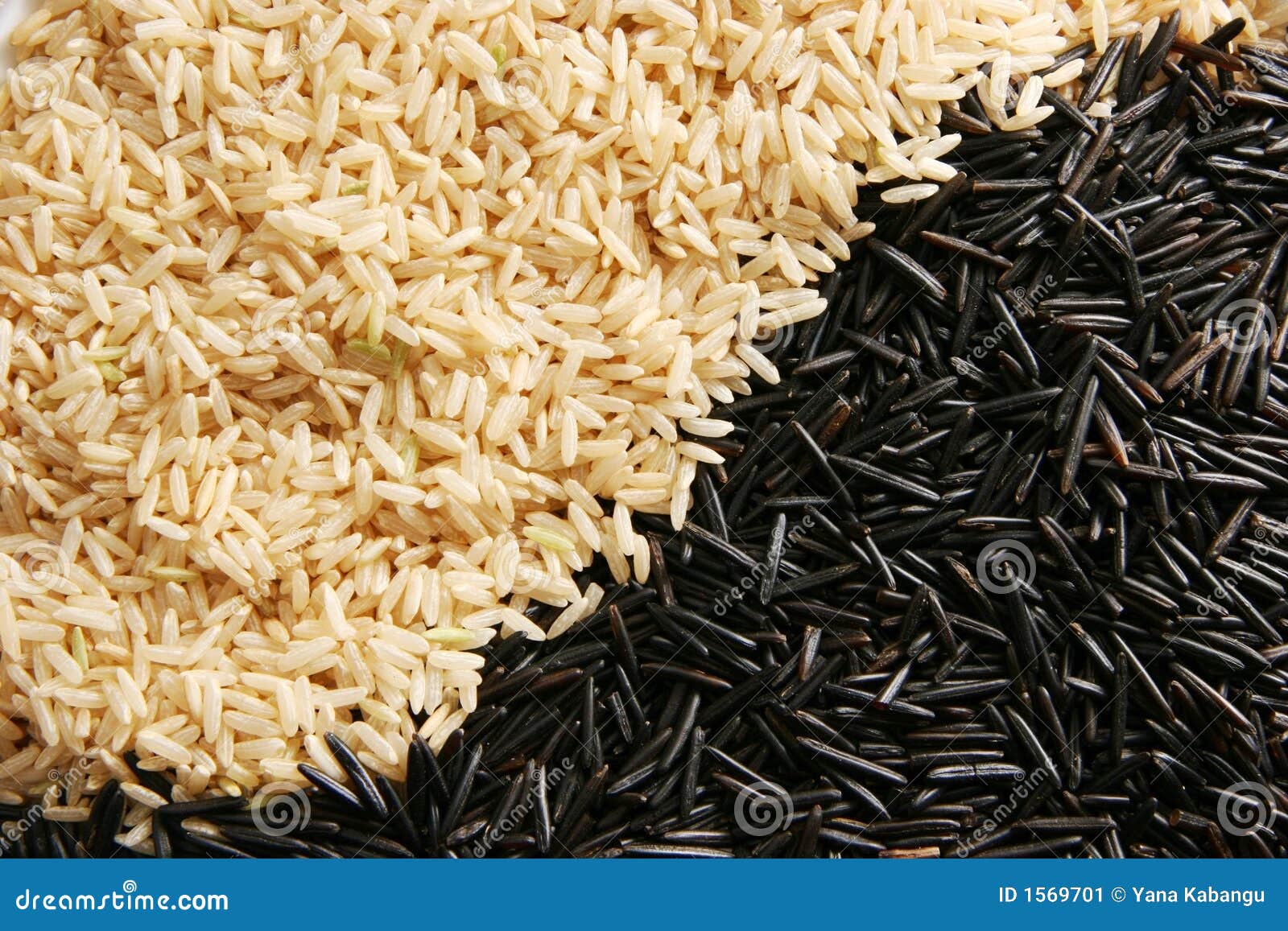 Rice. stock image. Image of cook, food, wild, vegetarian - 1569701