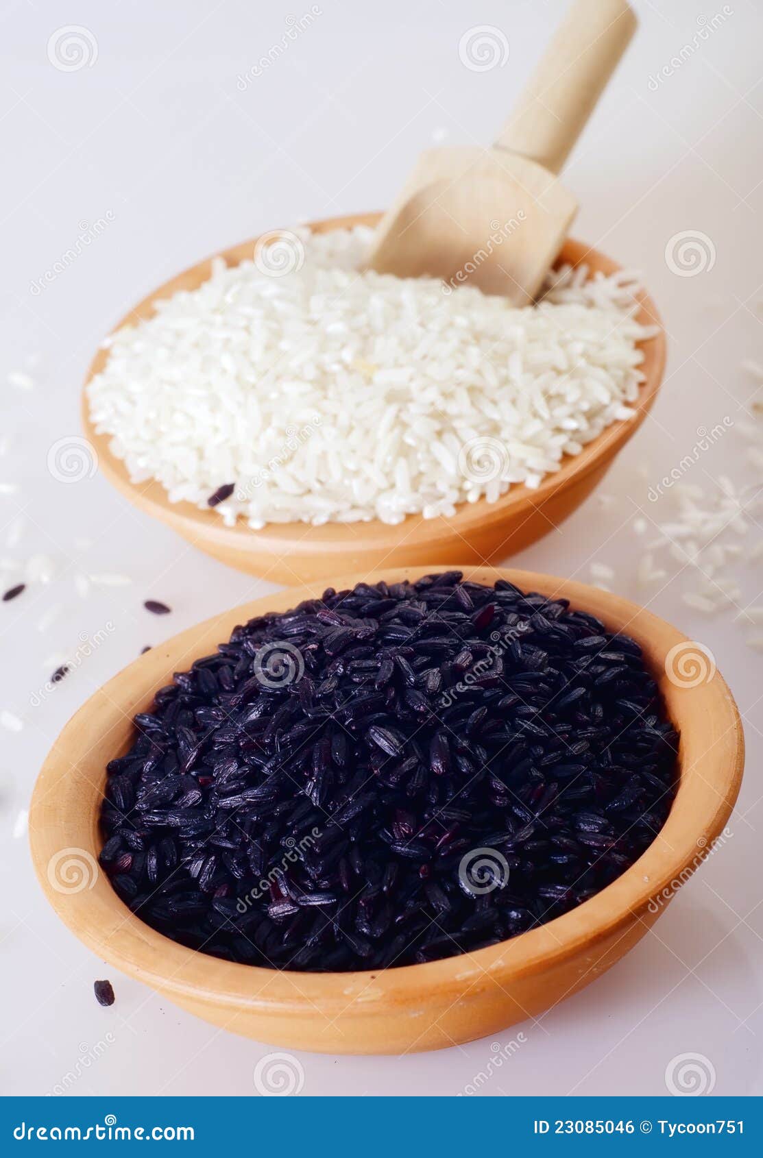 Rice stock photo. Image of ethnicity, chinese, nature - 23085046