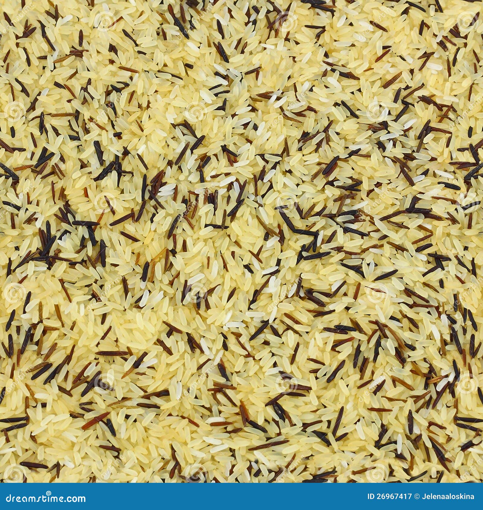 Rice stock image. Image of cereal, corn, background, crop - 26967417