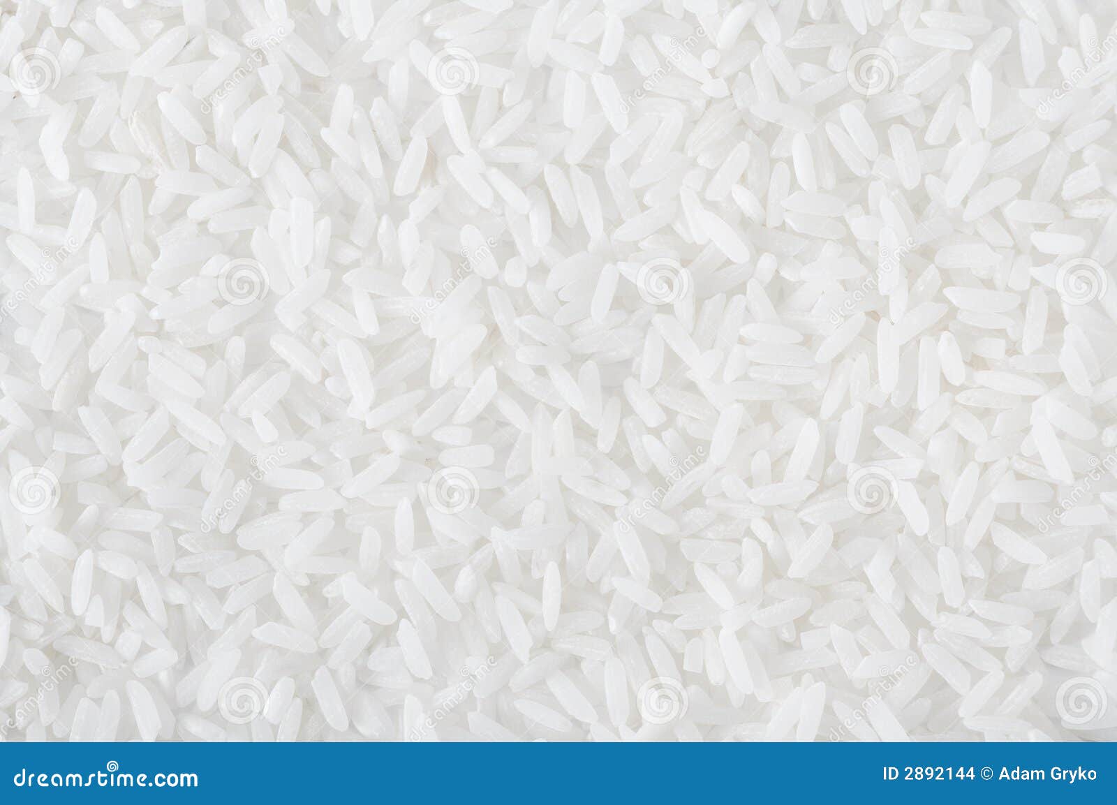 Rice stock photo. Image of asian, bean, abstract, background - 2892144