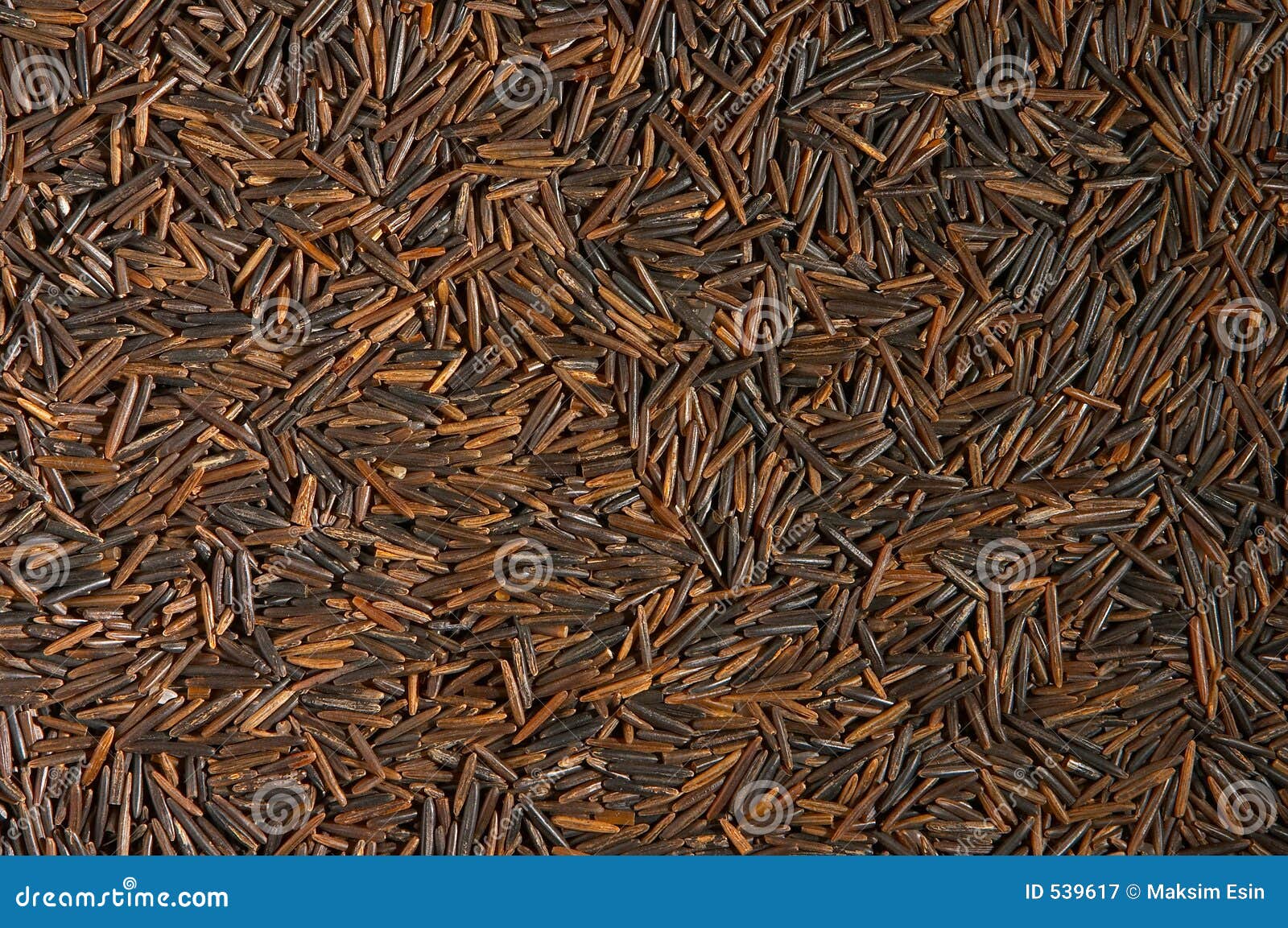 Rice stock image. Image of background, meal, wild, grain - 539617