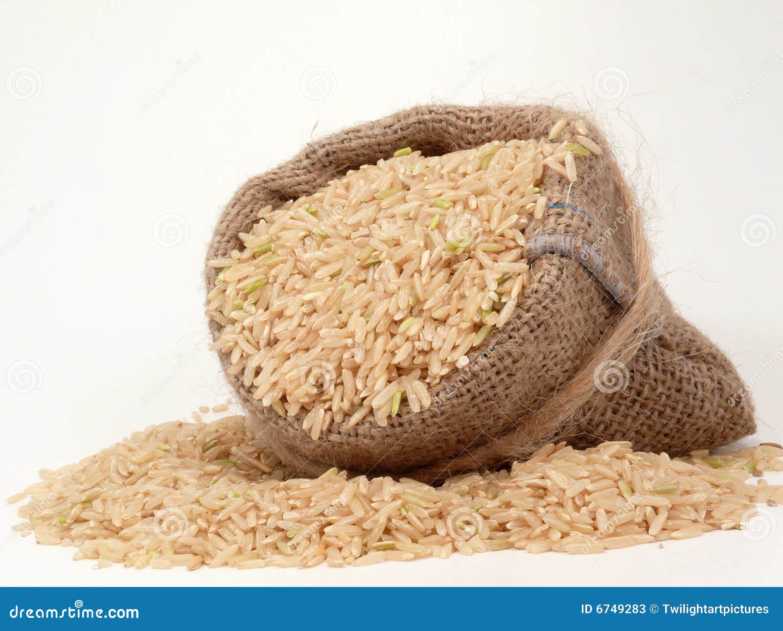 Cultivation Of Basmati Rice. Stock Image | CartoonDealer.com #292643521