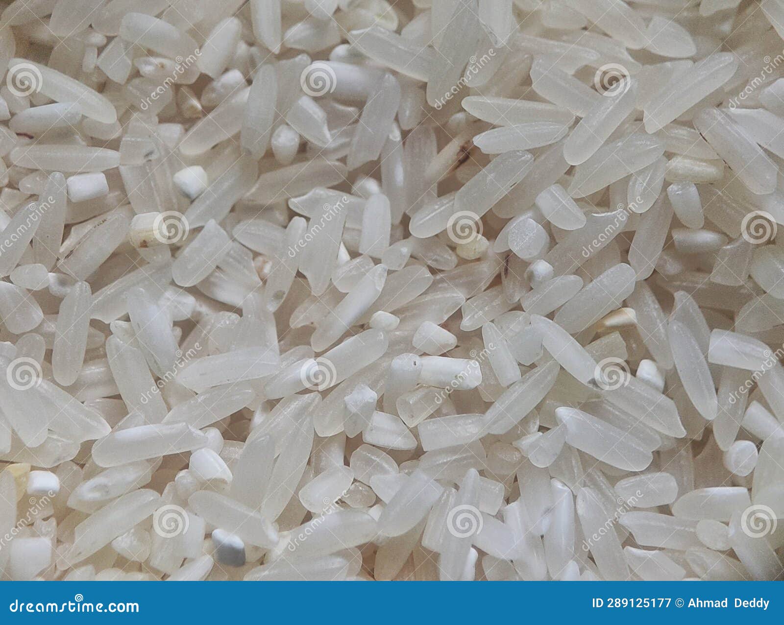 Rice Abstract Background in Focus Stock Image - Image of focused ...