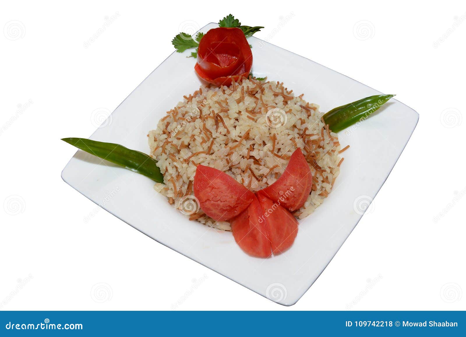 Rice and Appetizer White Plate Stock Photo - Image of meat, healthy ...