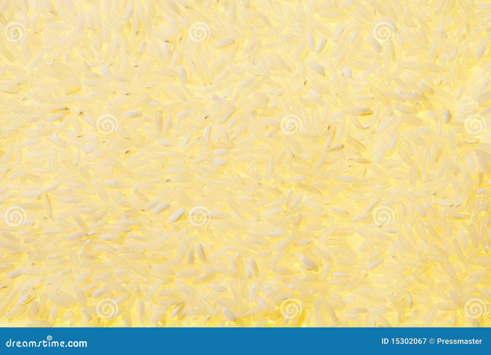 Rice background stock image. Image of culture, grains - 15302067