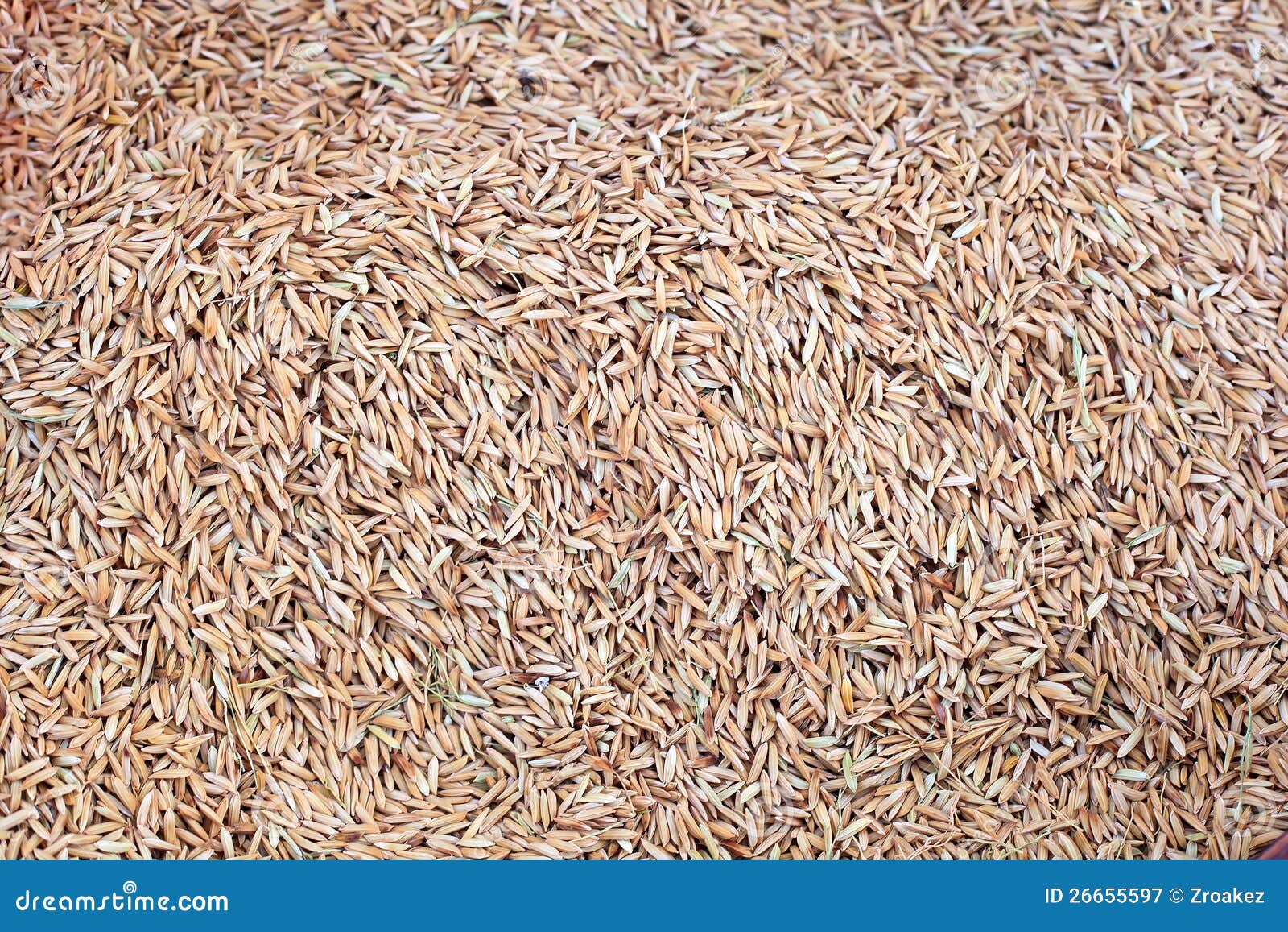 Rice background stock image. Image of nutrition, culture - 26655597