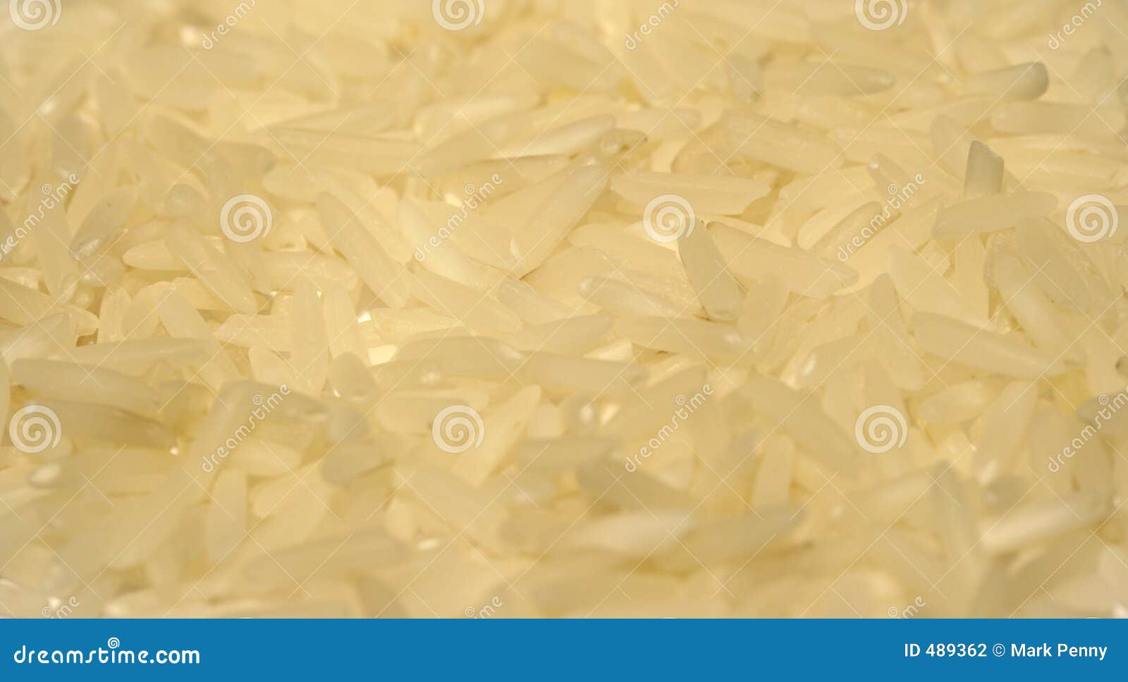 Rice Background stock photo. Image of starch, import, close - 489362