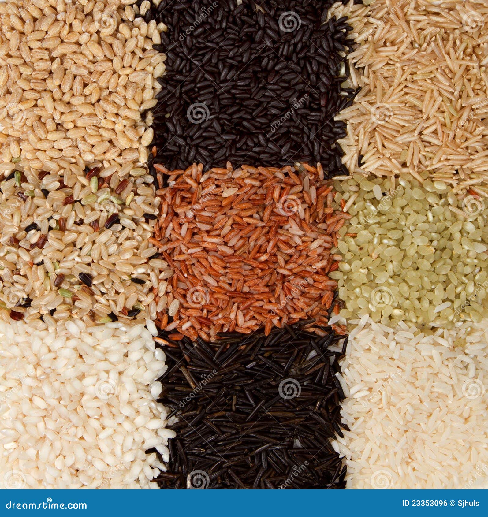 Rice Background Arranged in a Checkerboard Pattern Stock Illustration ...