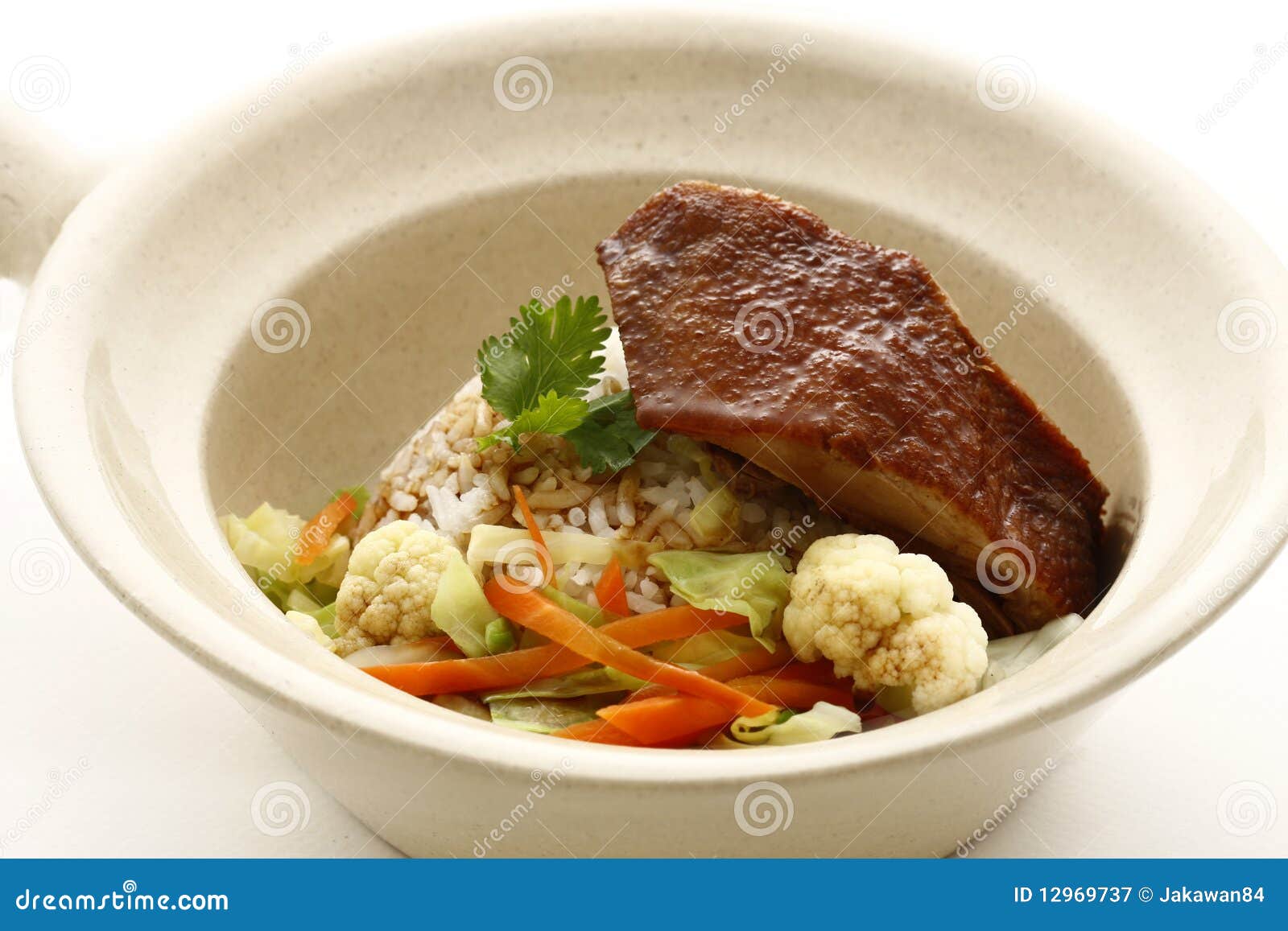Rice with baked duck stock image. Image of asia, healthy - 12969737