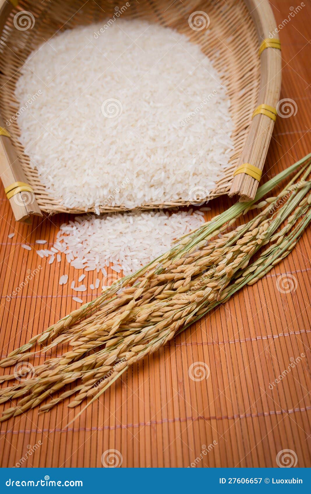 Rice on bamboo mat stock image. Image of grain, rice - 27606657
