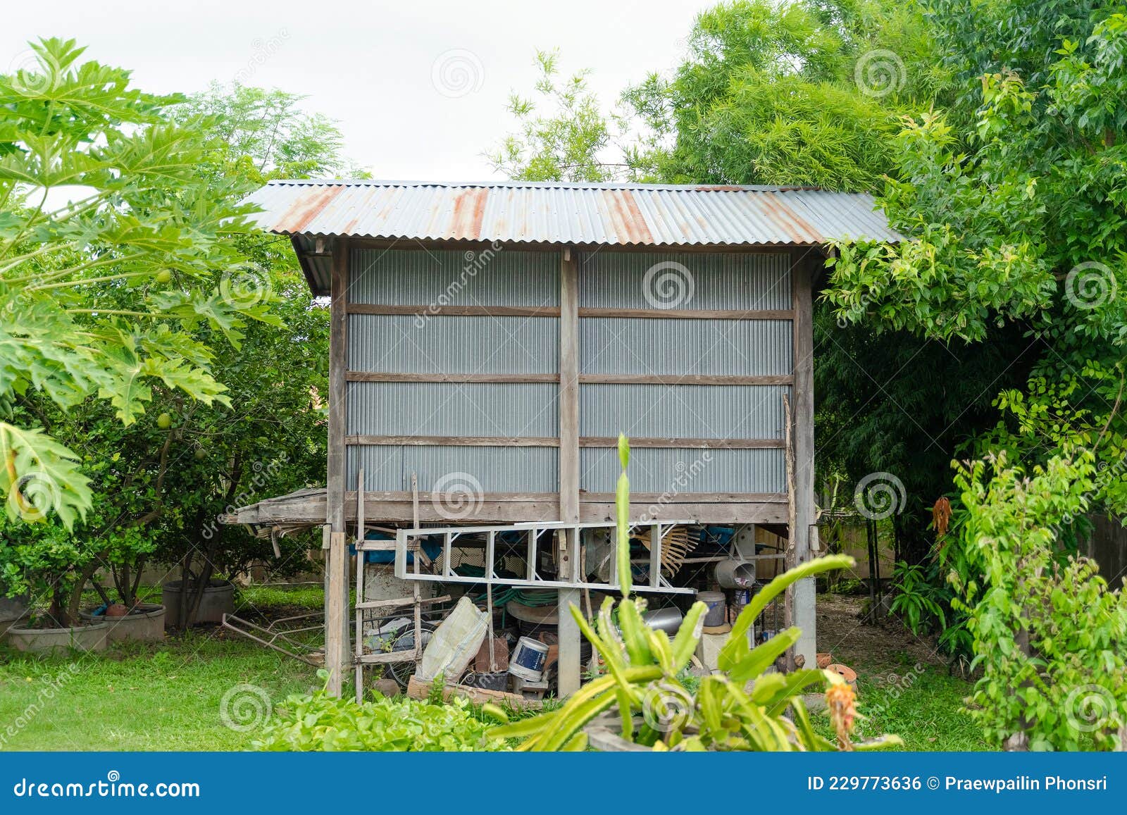 Rice Barn for Storage and Drying of Harvested Rice in Backyard Area ...