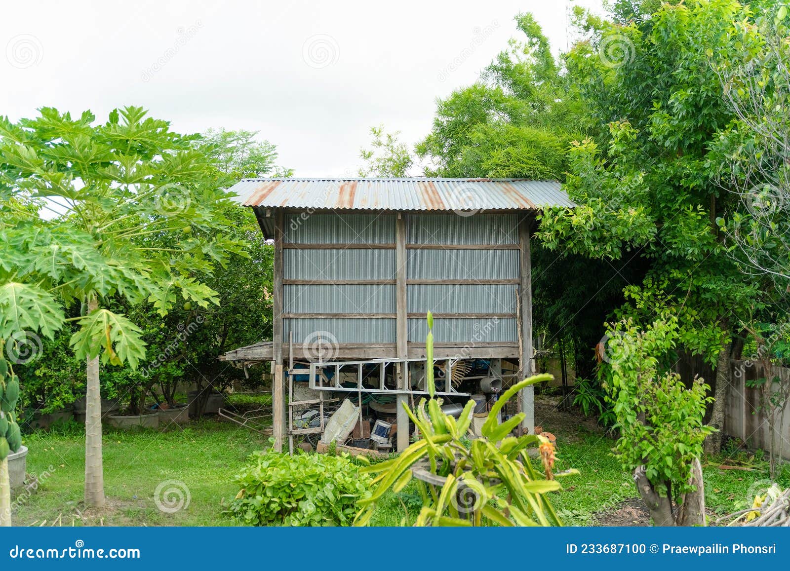 Rice Barn for Storage and Drying of Harvested Rice in Backyard Area ...
