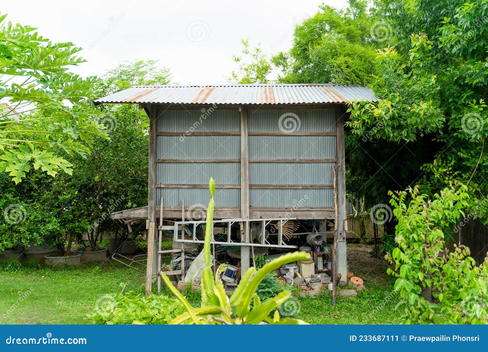 Rice Barn for Storage and Drying of Harvested Rice in Backyard Area ...