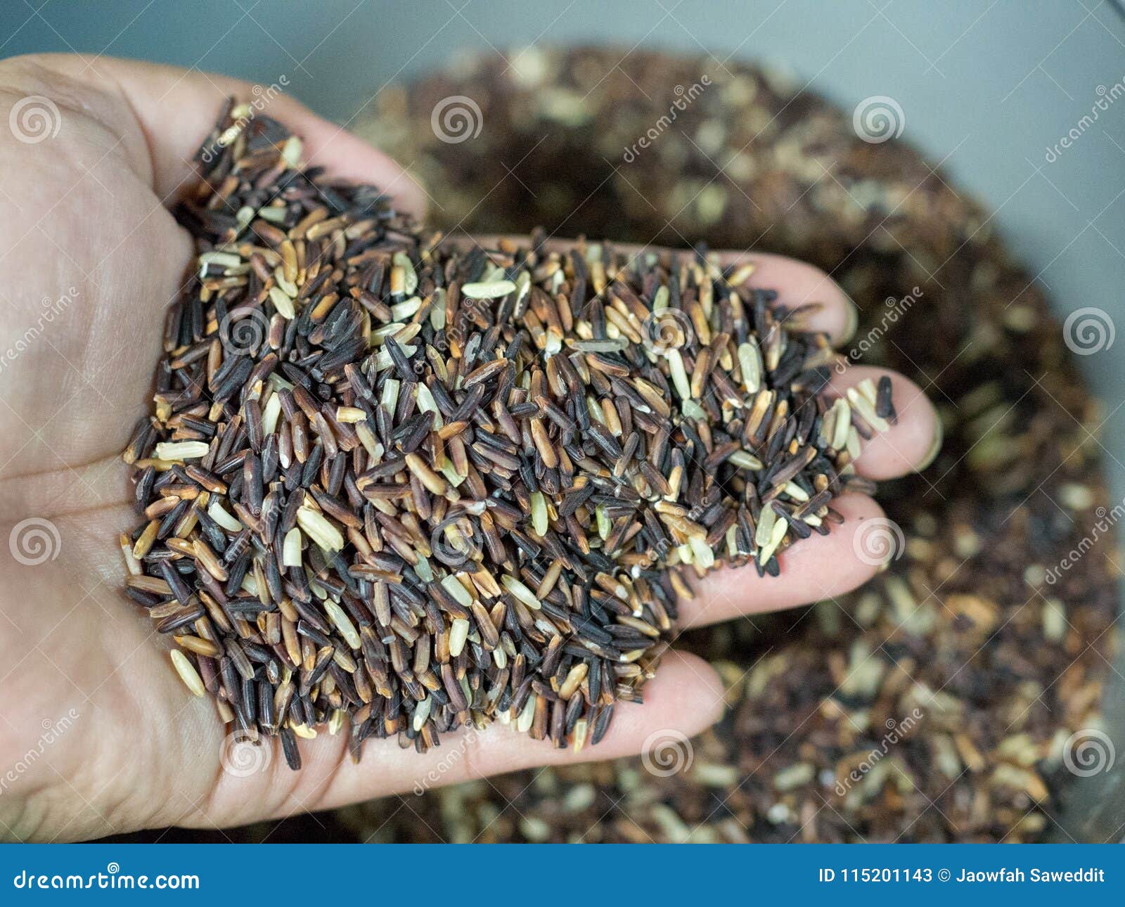 Rice Berry on hand stock image. Image of berry, health - 115201143